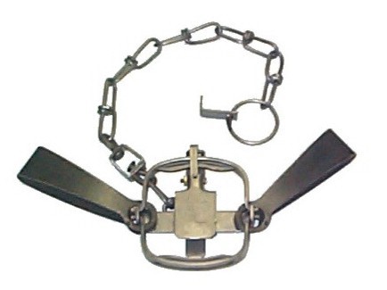 Sleepy Creek #11 Double Jaw Long Spring Trap - Southeastern Outdoor ...