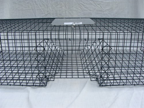 Colapsible Quail Trap